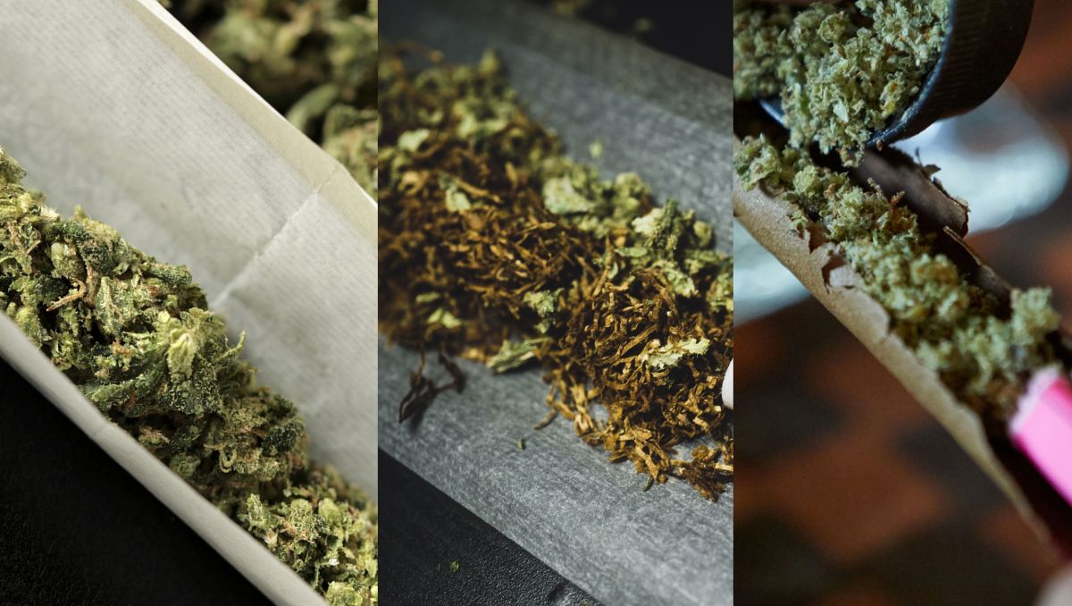 Joints Vs Spliffs Vs Blunts: Jaka Jest Różnica | Fast Buds Joints Vs Spliffs Vs Blunts: Jaka Jest Różnica | Fast Buds